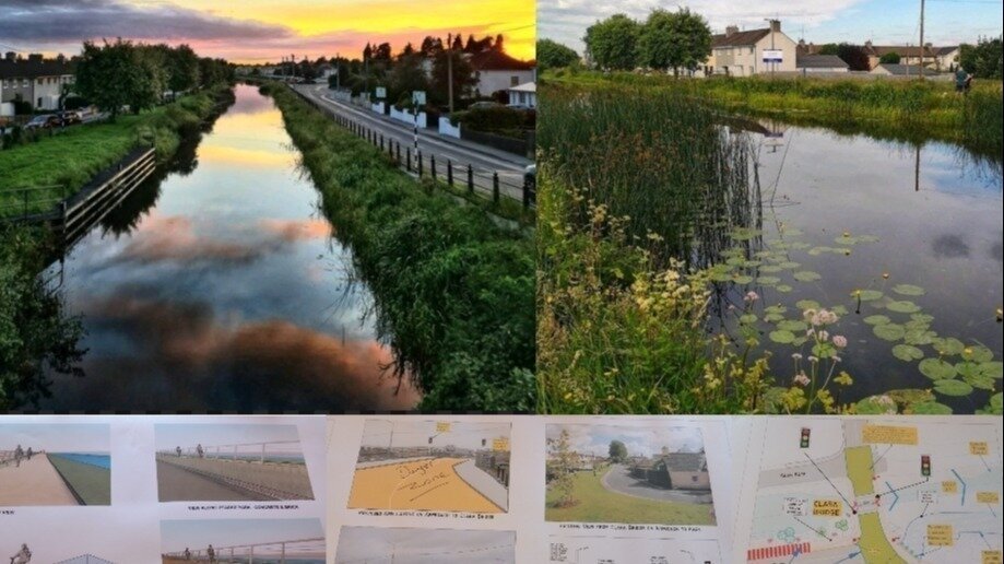 Petition · Save our Trees Pearse Park Tullamore - Tullamore, Ireland ...