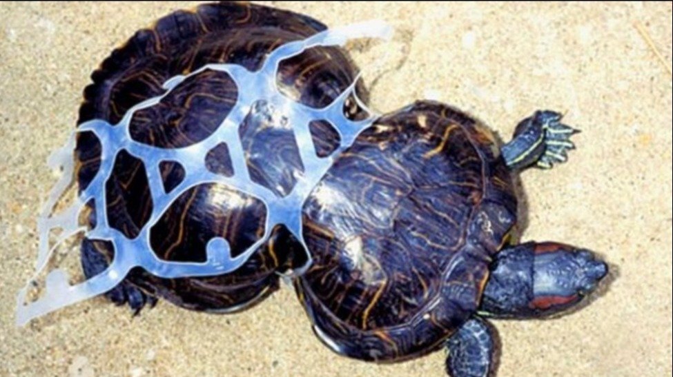 Petición · Help to reduce the excessive amount of plastic. - Estados ...