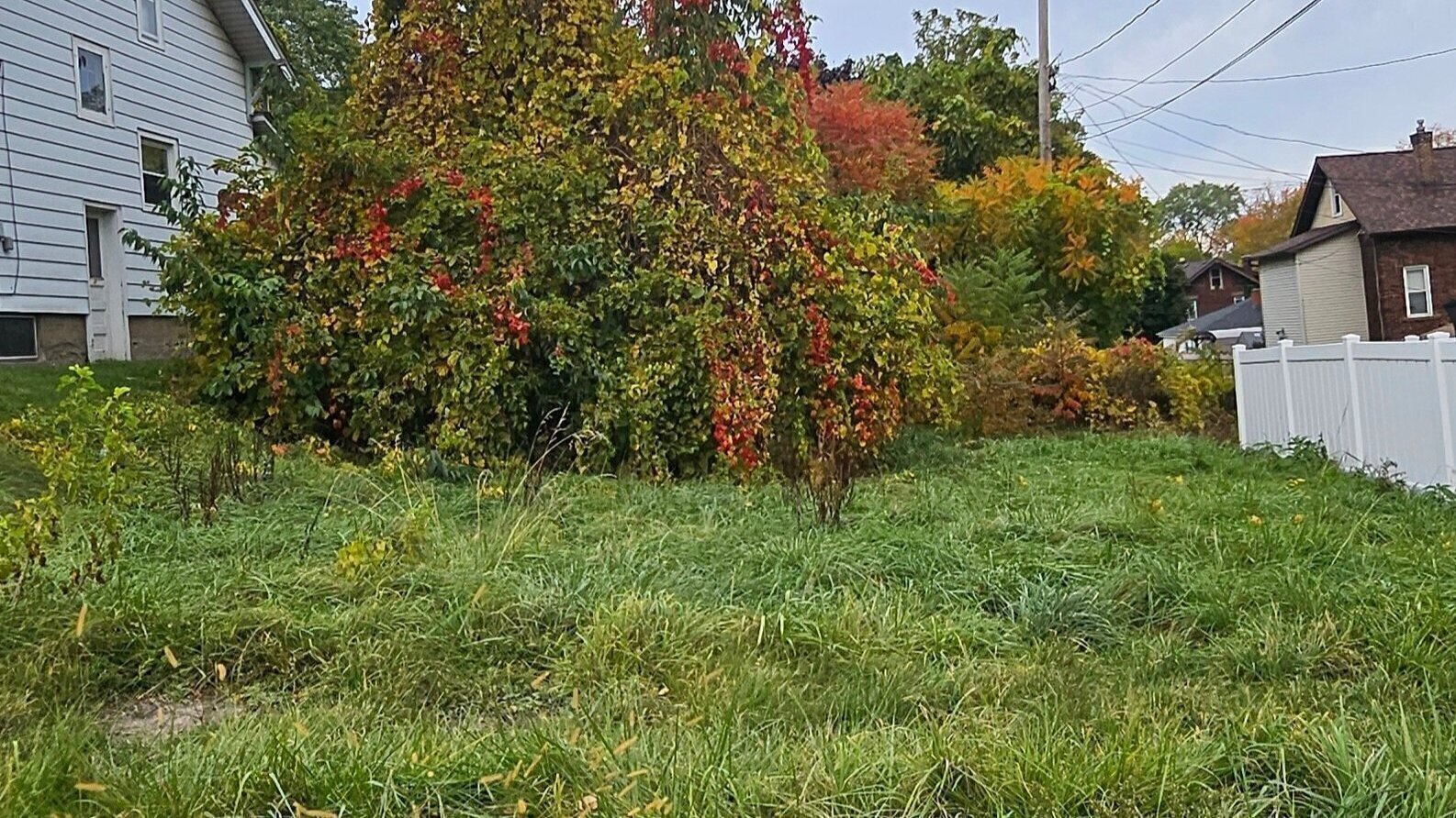 Petition · Convert Abandoned Property on East 4th into a Community ...
