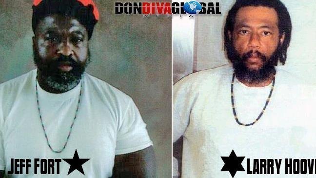 Petition · Jeff Fort and Larry Hoover 15 minute national public ...