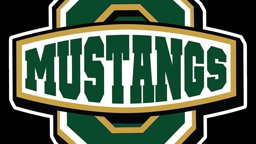 Petition · Create a Ola Football & Cheer Association - Ola, United ...