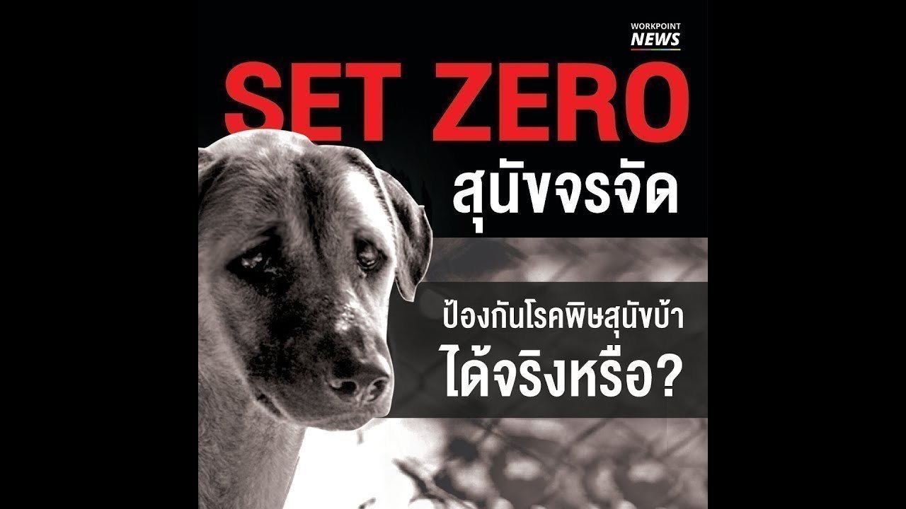 แคมเปญรณรงค์ · คัดค้านโครงการ Set Zero ฆ่าหมาจรจัดให้หมดไป เพื่อจัด ...