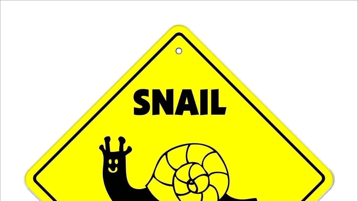 Petition · Help snails cross the road - United States · Change.org