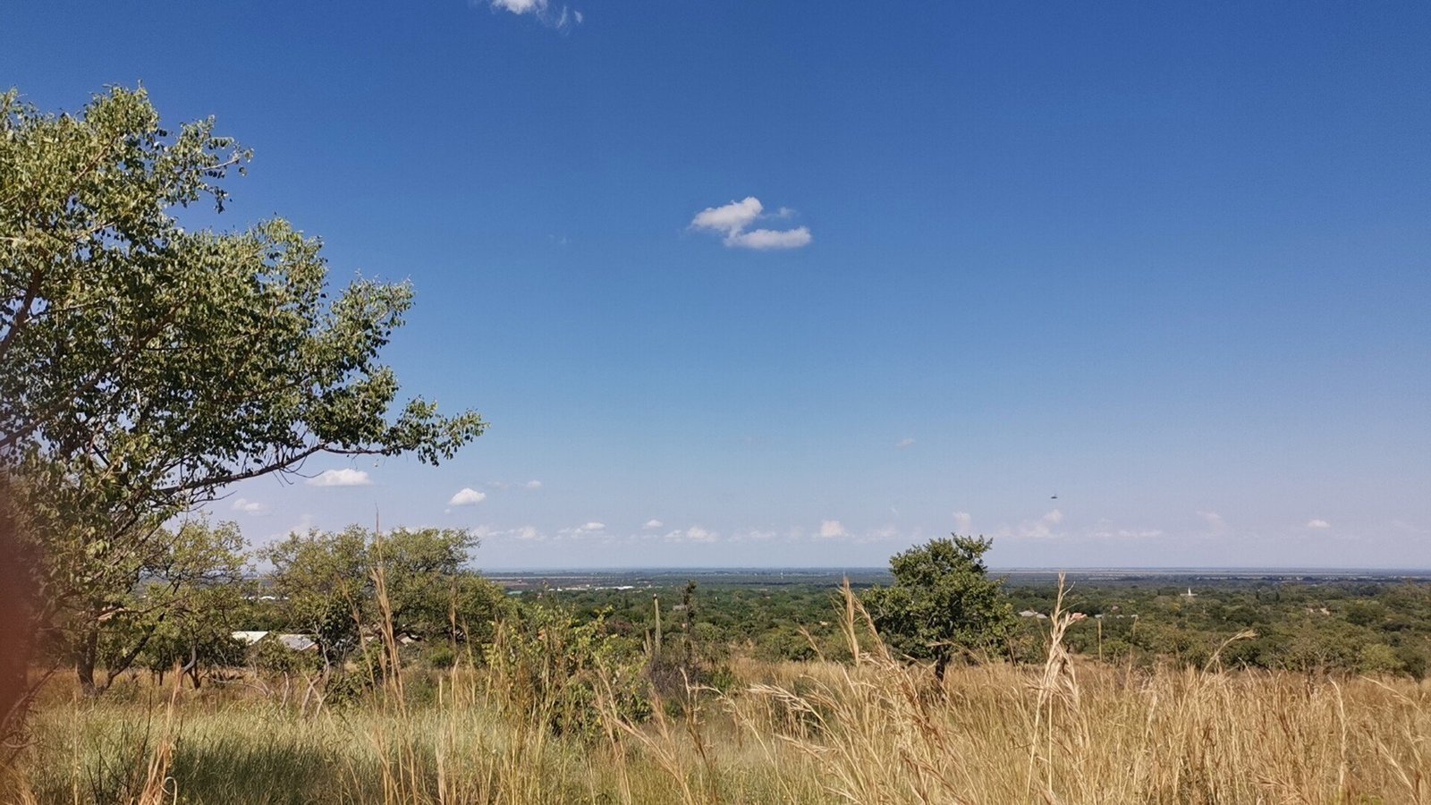 Petition · Protect the Bushveld, help create a Bushveld Botanical ...