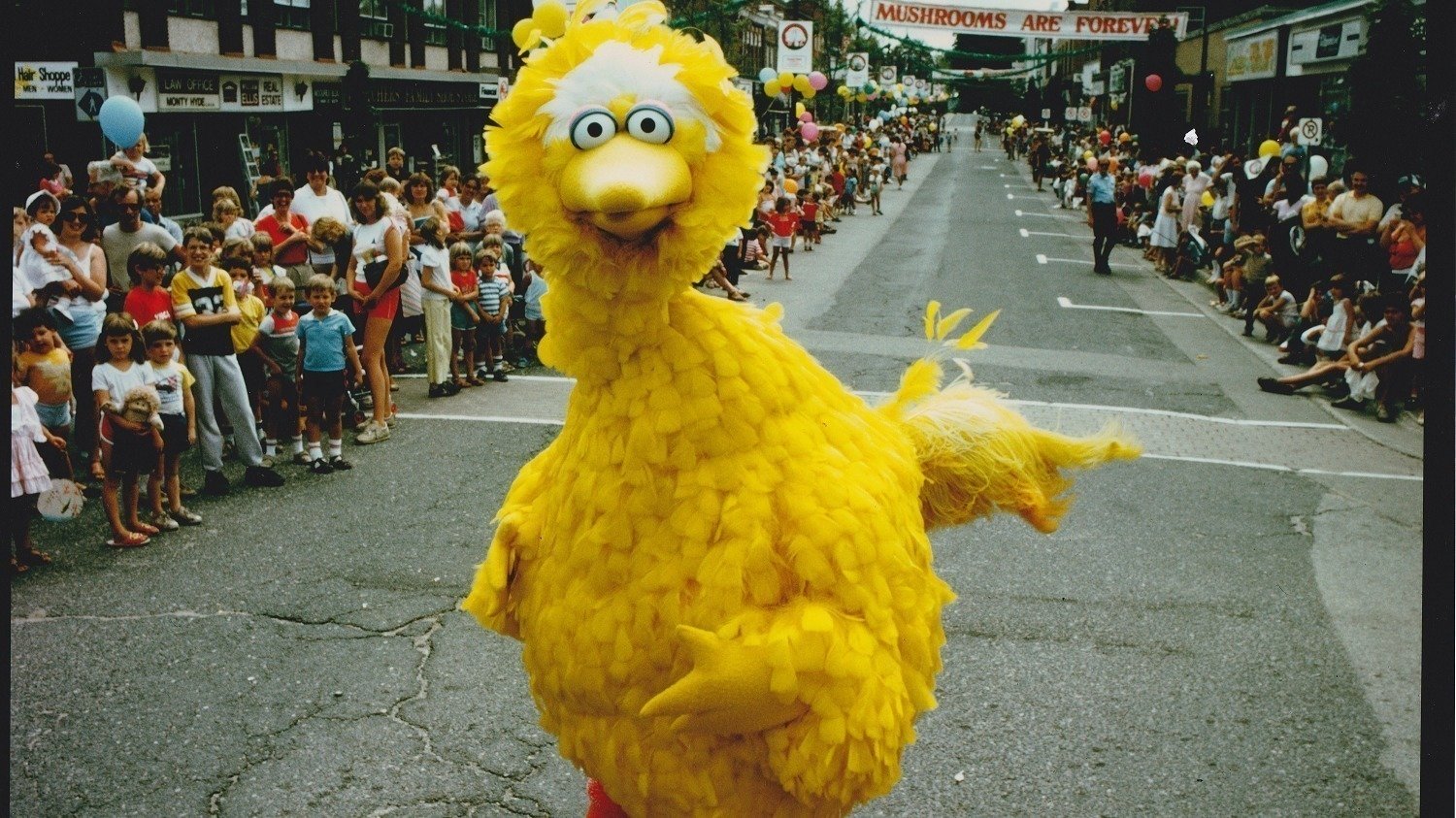 Petition · Make a Follow That Bird Sequel - United States · Change.org