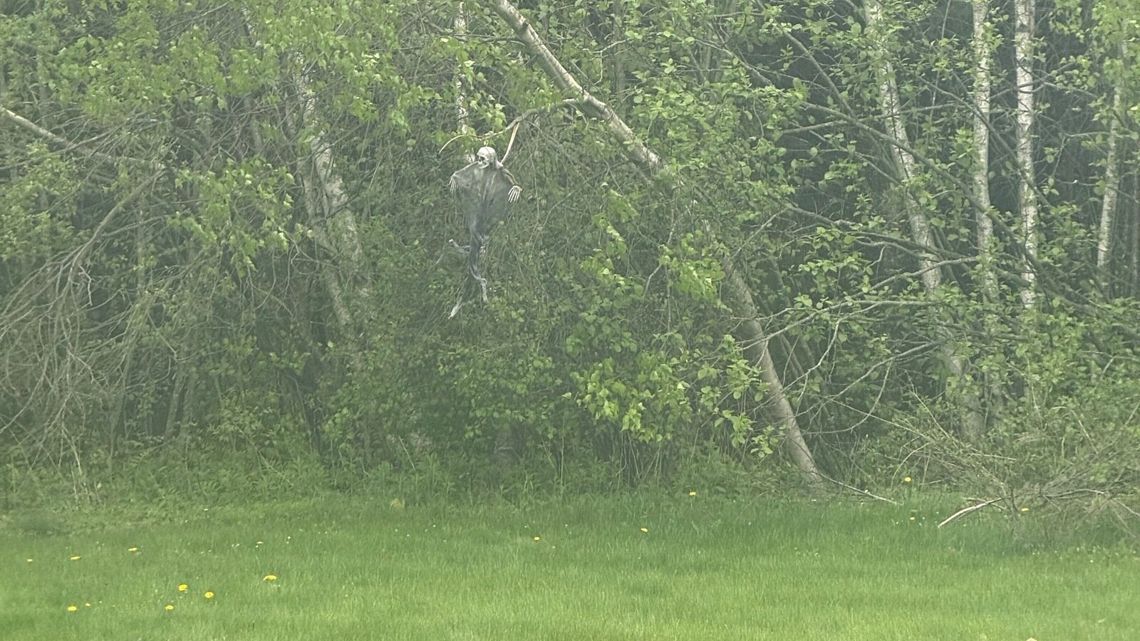 Petition · Relocate Trisha Williams and Her Children to Safe Housing ...