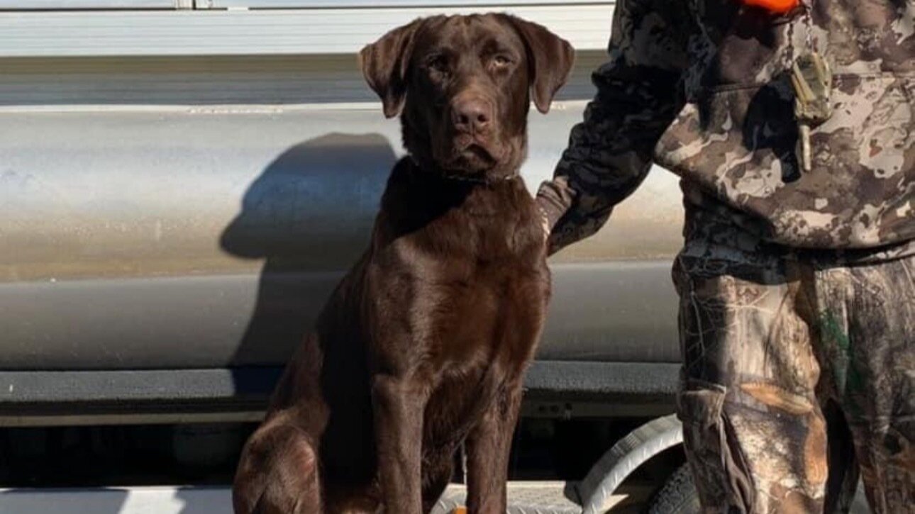 Petition · Compel Tangipahoa Sheriff's Office to Remove Animals from ...