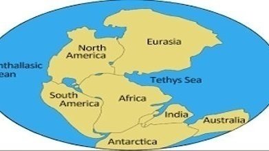 Petition · Restore Pangea - United States · Change.org