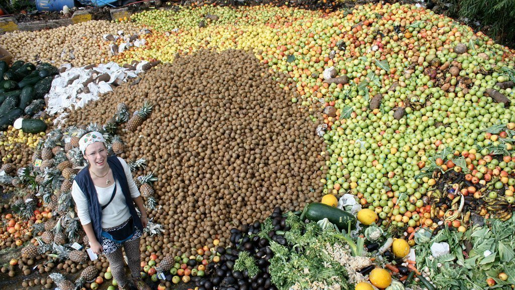 Petition update · Help us build a movement of hope to end food waste ...