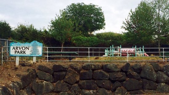 Petition · Turn Arvon Park into an official "Dream Park" - United ...