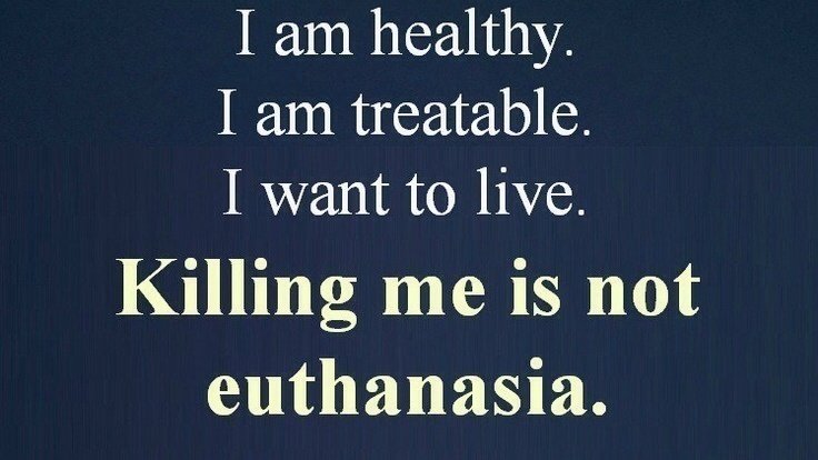 Petition · No more "kill" animal shelters! - United States · Change.org