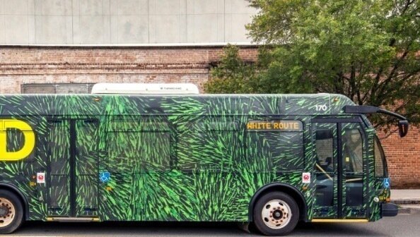 Petition · A bus from River to Arnold - Savannah, United States ...
