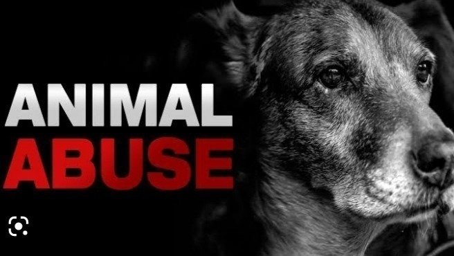 Petition · Stop abusing animals - Philippines · Change.org
