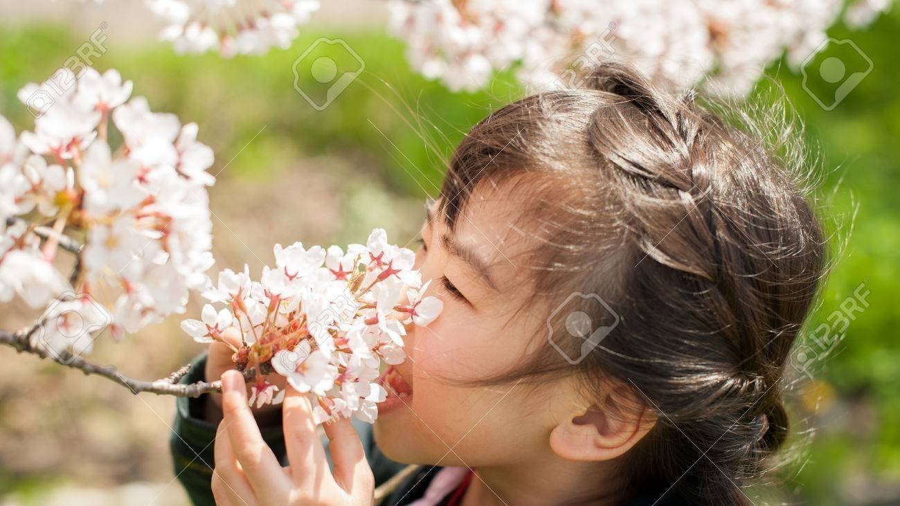 Petition · Children & Cherry Trees! Show the same huge support for our ...