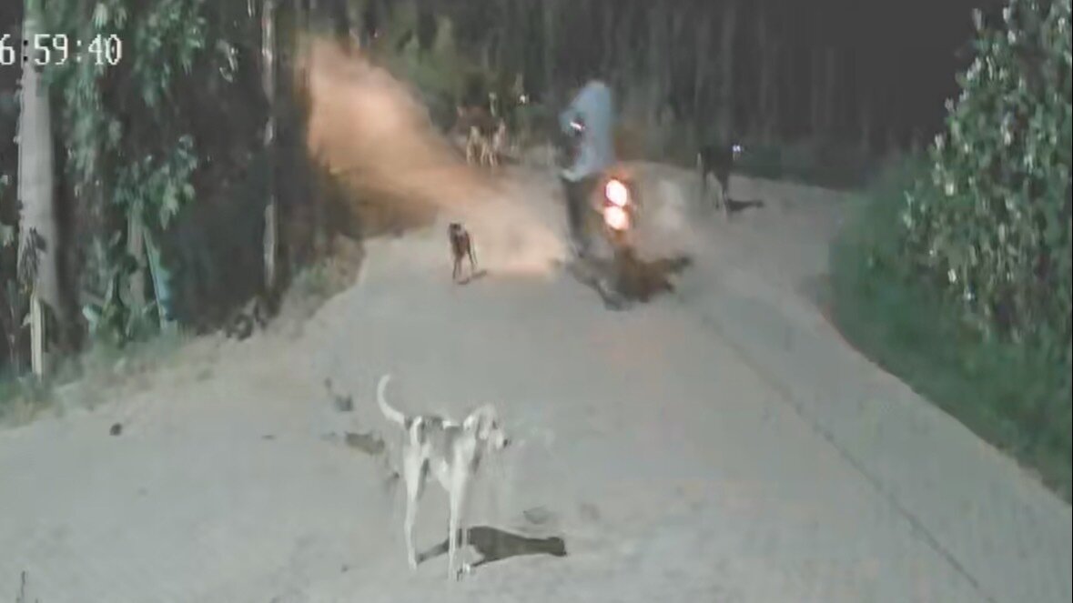 Petition · Implement Speed Breakers in rattanheri village Ambala Cantt ...