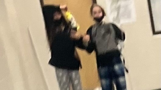 Petition · Lexi to not move - United States · Change.org