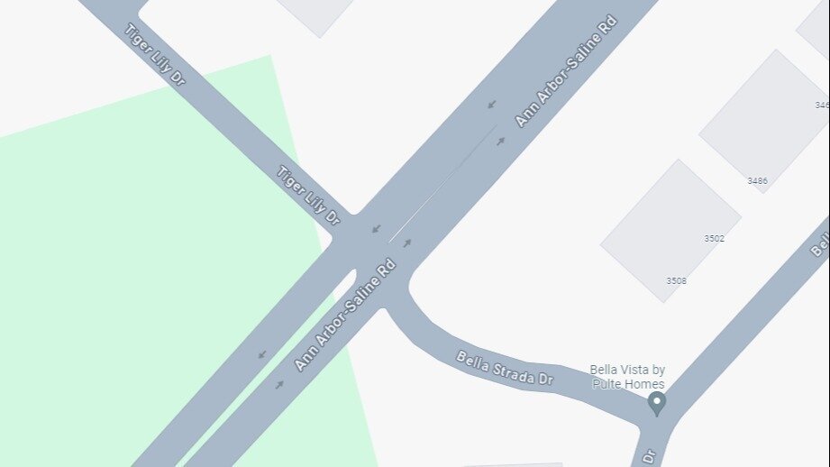 Petition · Petition to Install a Crosswalk Spanning Ann Arbor Saline ...