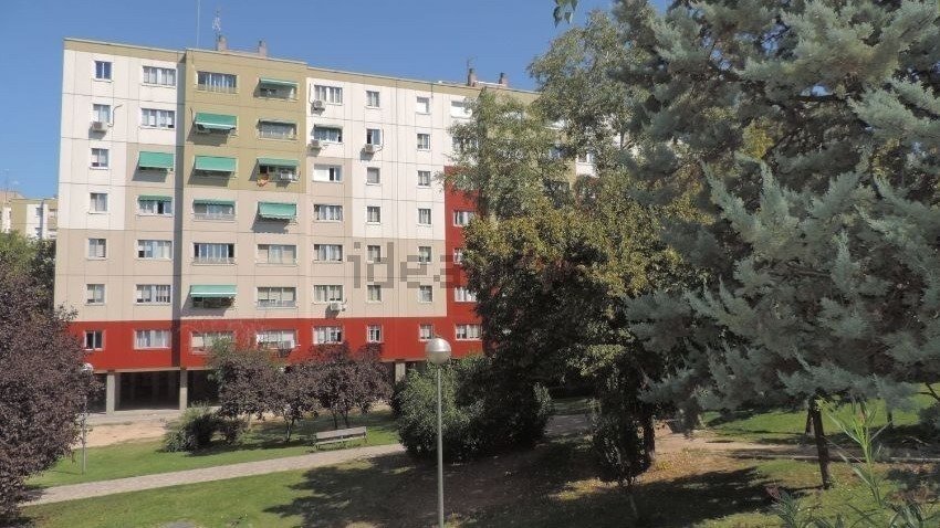 Petición · Área o parque canino Barrio de Fuencarral (Madrid) - España ...