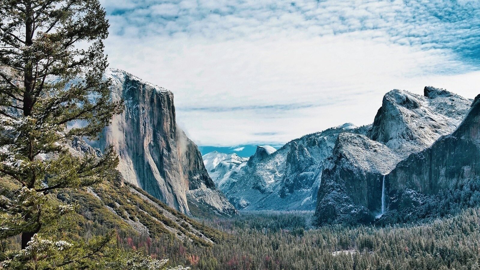 Petition · Protect Our National Parks for Future Generations - United ...