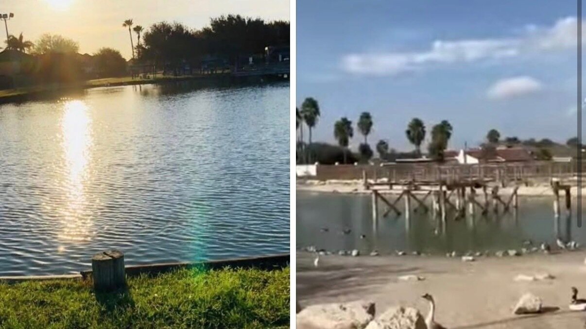 Petition · Preserve the Bannworth Park Pond in Sharyland - Mission ...