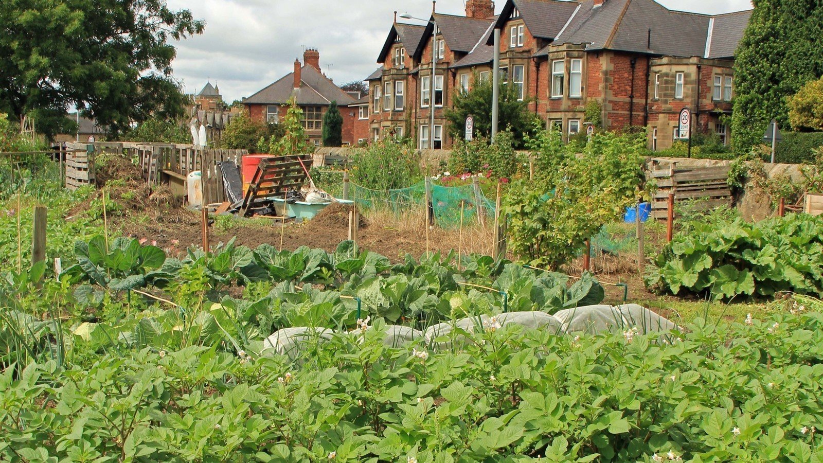 Petition Ensure Tommy s Field Allotment Association Have A Secure petition-ensure-tommy-s-field-allotment-association-have-a-secure
