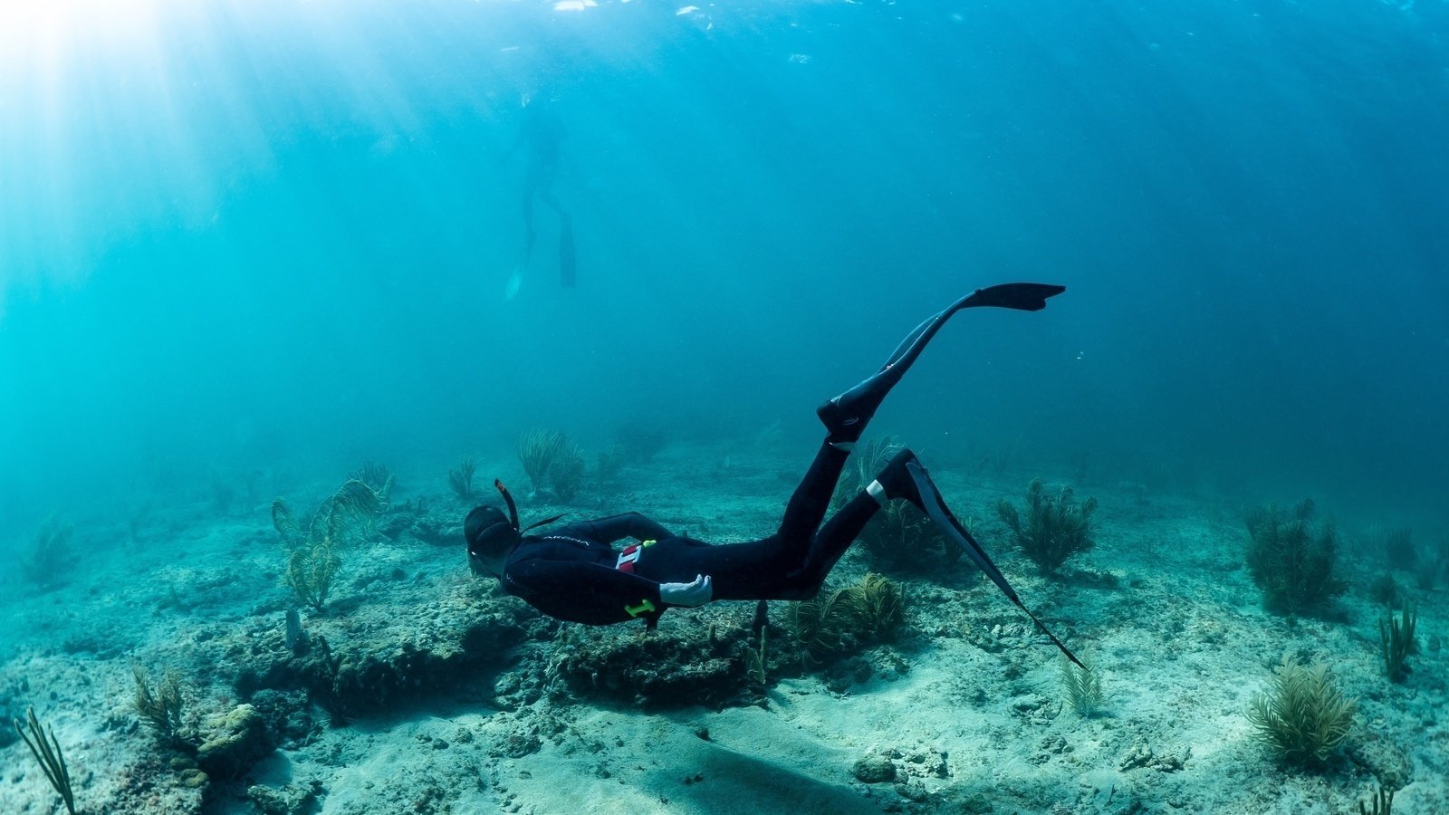 Petition · Ocean Littering = Felony - United States · Change.org