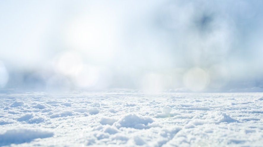 Petition · A Second Snow Day for Regis High School - United States ...