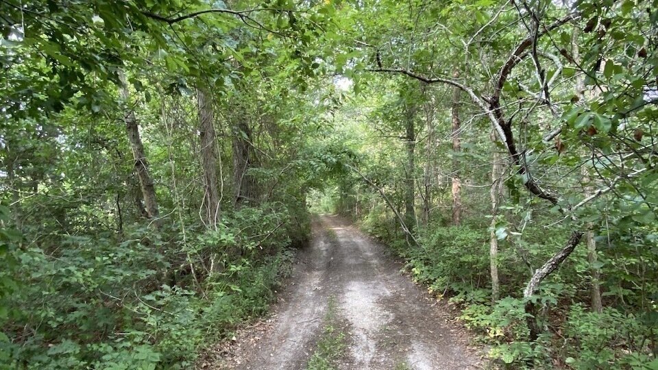 Petition · Designate Mud Puddle Cart Path and Old Sailor’s Burial ...