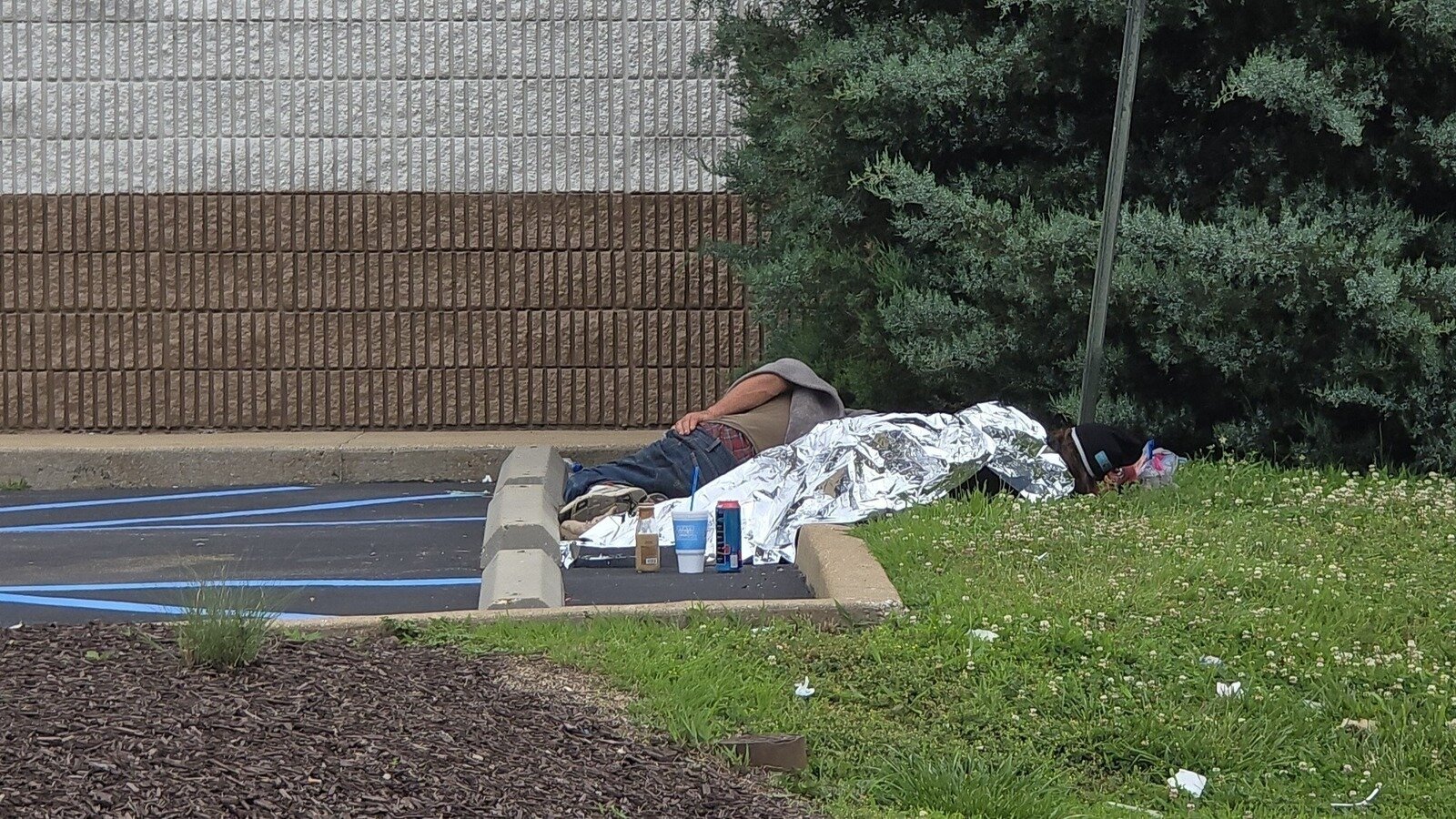 Petition · End Panhandling and Littering in St. Louis County - United ...