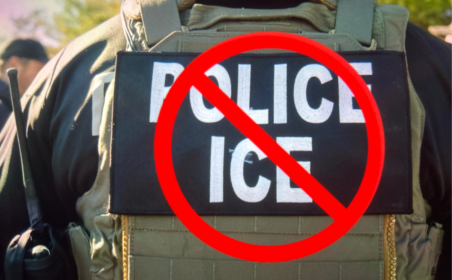 Petition · Abolish ICE and Protect Innocent Lives - United States ...