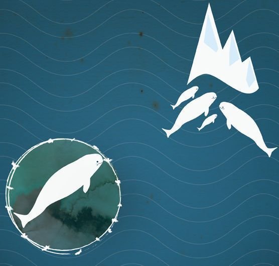 Petition · Don't bring Beluga Whales to the Philippines, return them to ...