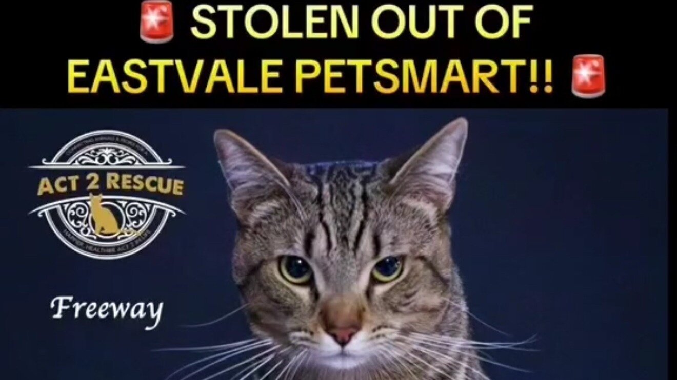 Petition · Help Us Find Freeway: Urge Petsmart to Release the ...