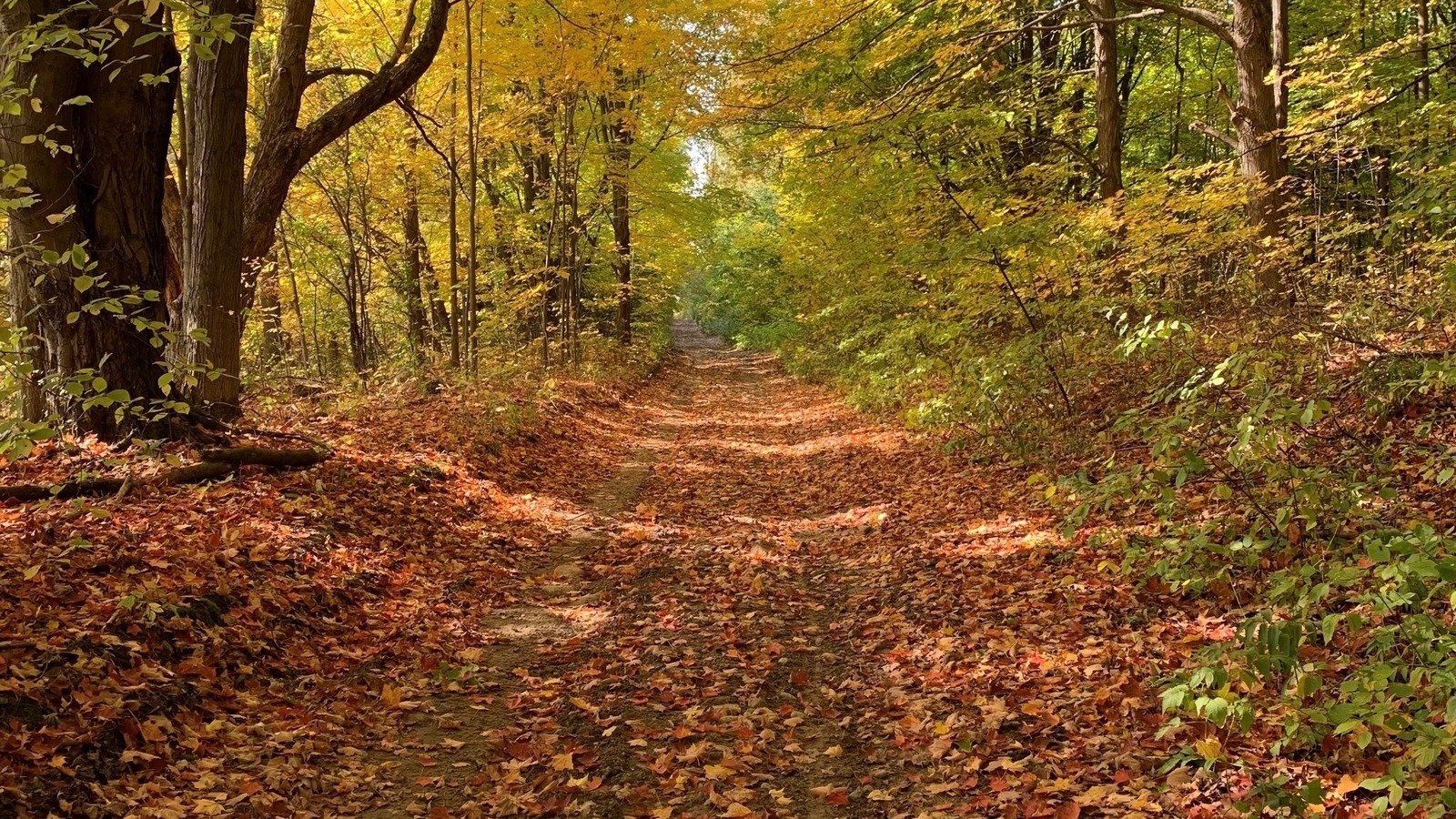 Petition · Ganaraska Members Action Group - Forest Reopening - Canada ...