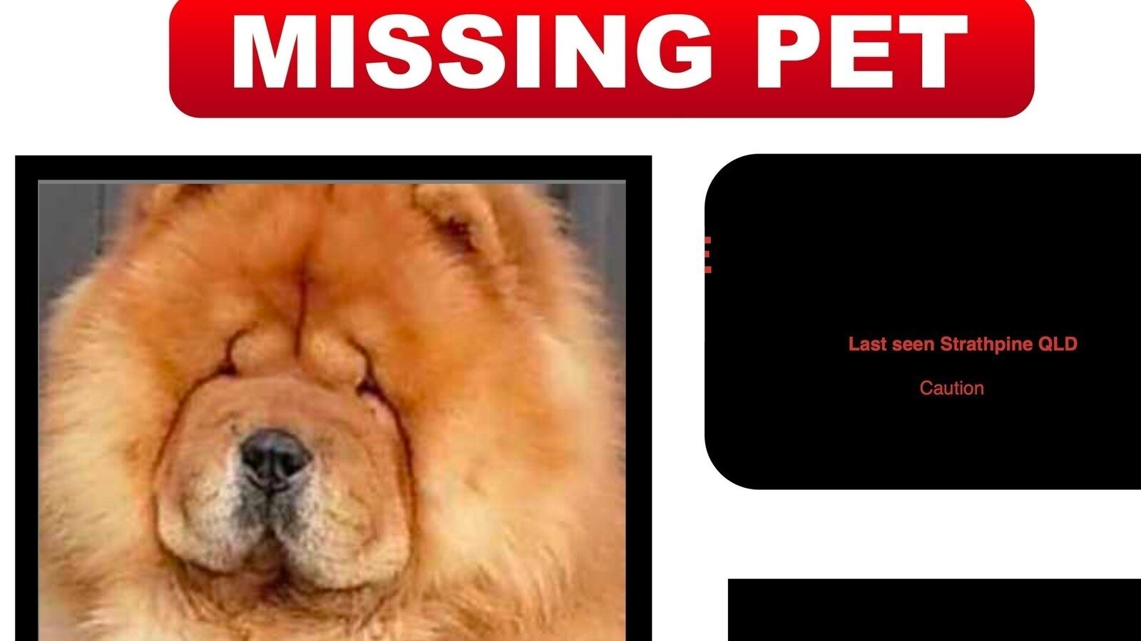 Petition · Dog Breeders Rights - Vets do not check legal owner of pets ...