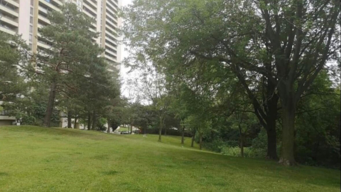 Petition · Save the Sentinel Road Urban Forest - Canada · Change.org