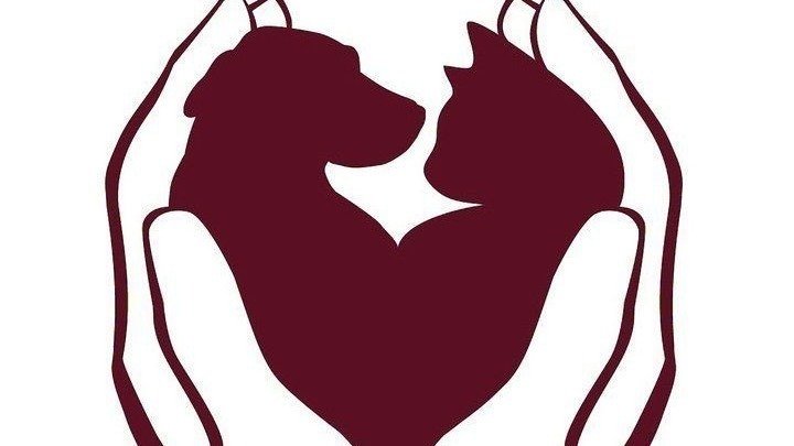 Petition · Helping Stray Animals · Change.org