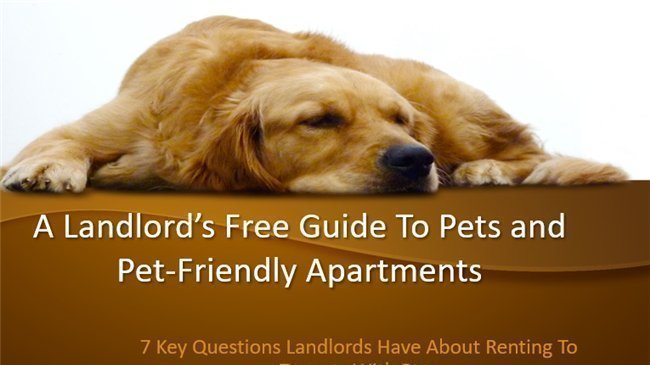 Petition · Force Landlords to let you have a dog - United States ...