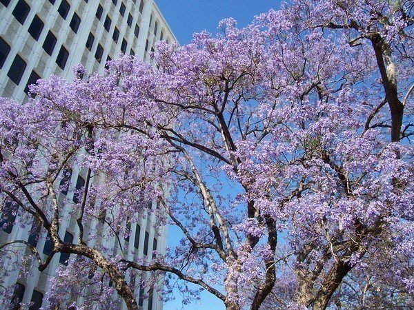 Petition · Reopen the Caltech Bookstore - United States · Change.org