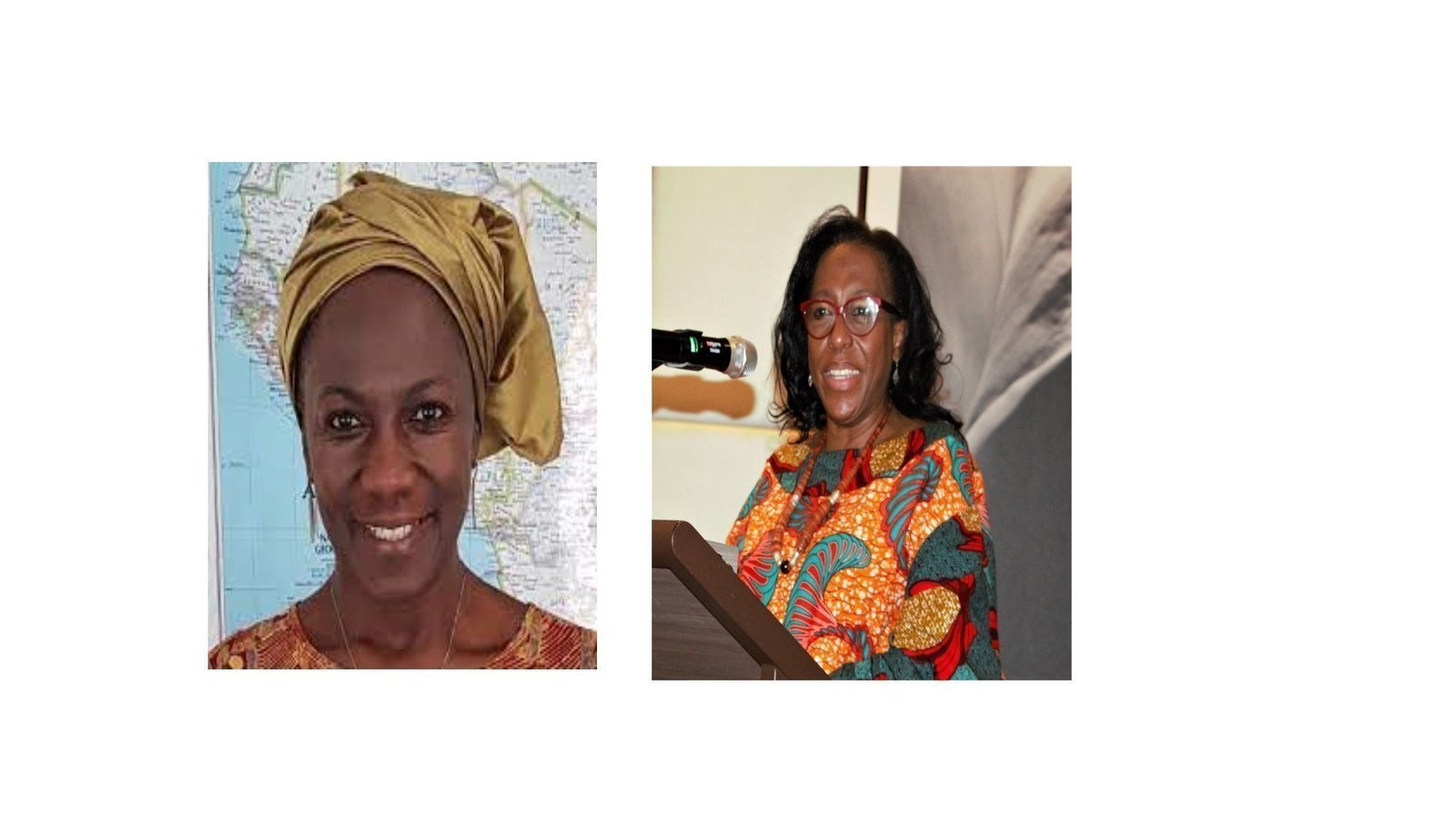 Petition · REINSTATE UN WHISTLEBLOWERS MAUREEN ACHIENG AND DENNIA GAYLE ...