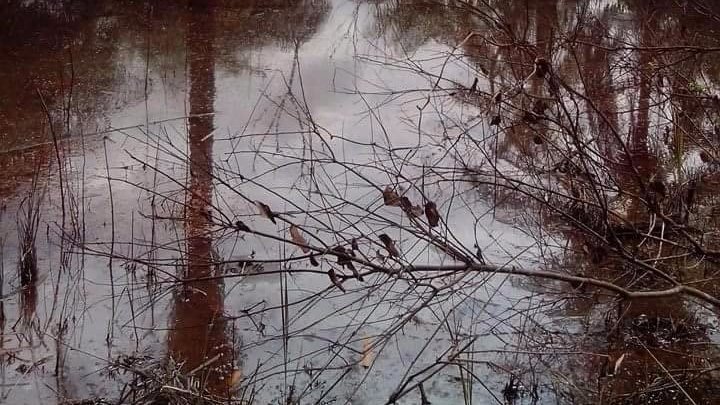 Petition · Justice ForThe Indigenous People of Oka Community over their ...