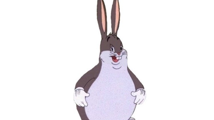 Petition · Get Robert Zajkowski to change his name to big chungus ...
