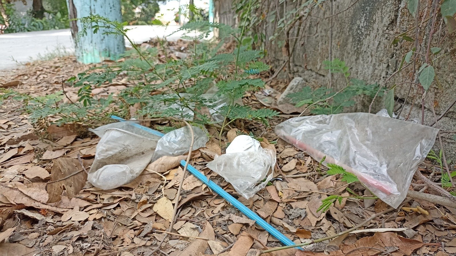 Petition · Produce bioplastic instead of conventional plastic ...