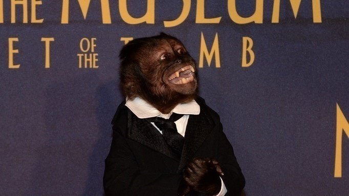 Petition · Convince my parents to let me get a monkey - United States ...