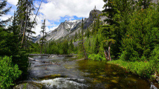 Petition · Preserve the Wild Core of the Northern Rockies - United ...