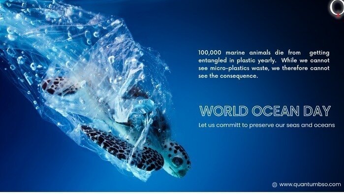 Petition · Help save marine life - Chatsworth, South Africa · Change.org