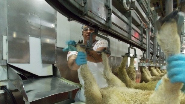 Petition · Remove Peter Talley's knighthood for services to business ...