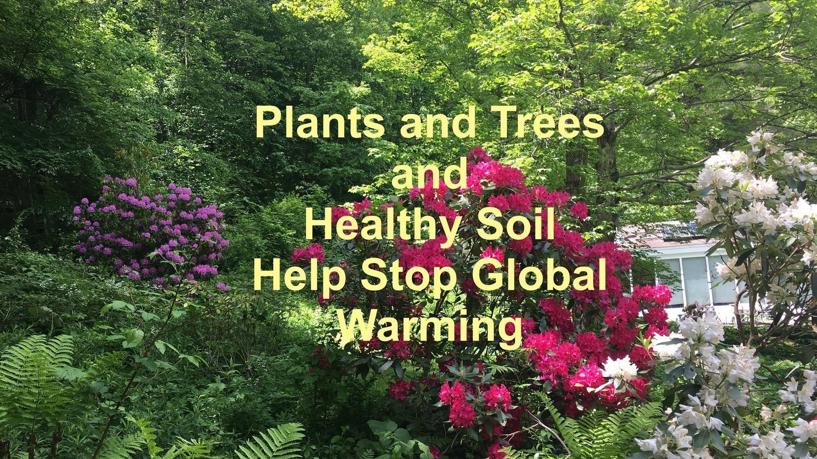 Petition · Sequester Carbon On Your Property - United States · Change.org