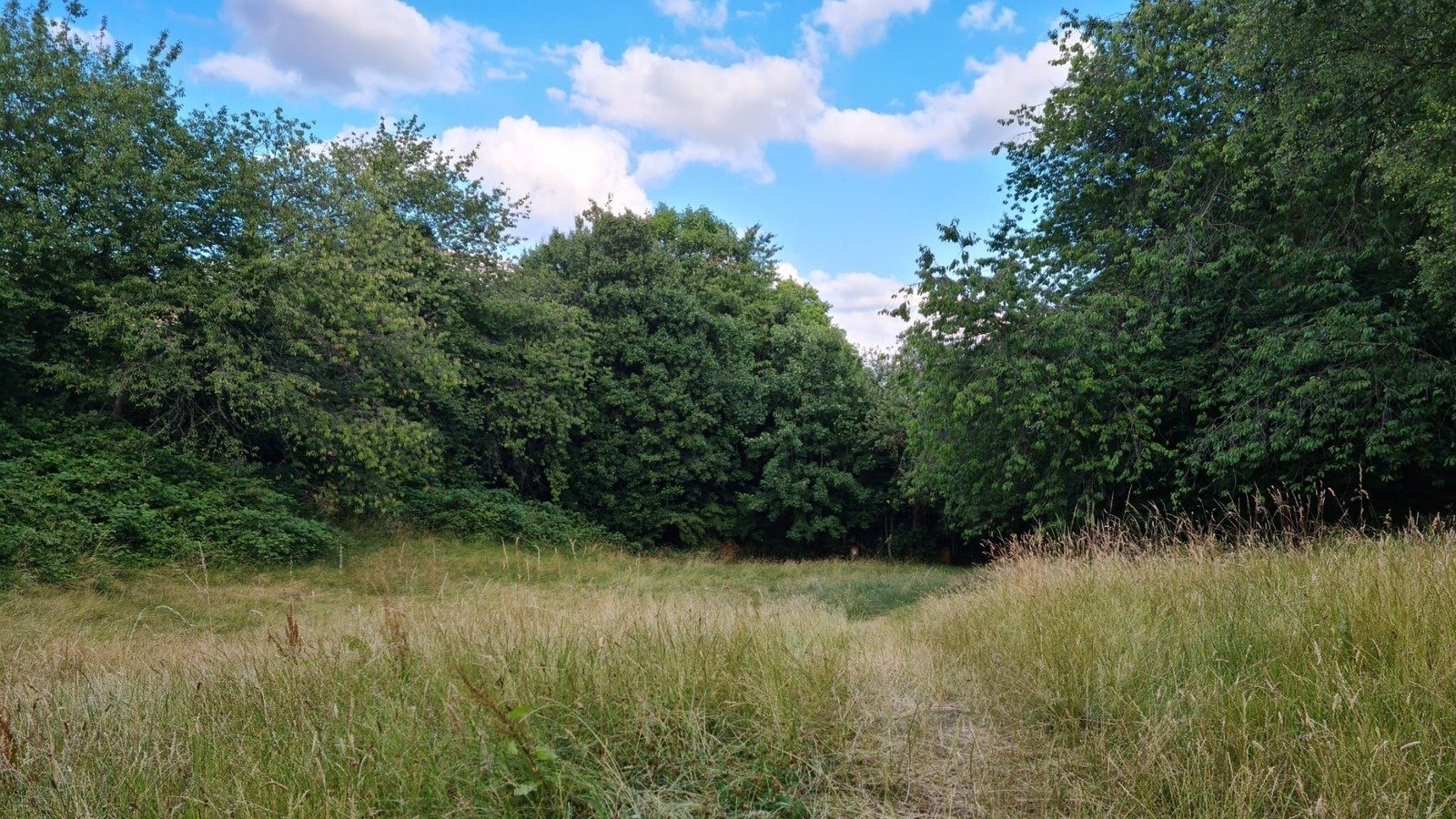 Petition · Petition against the proposed development of Ivatt Way green ...