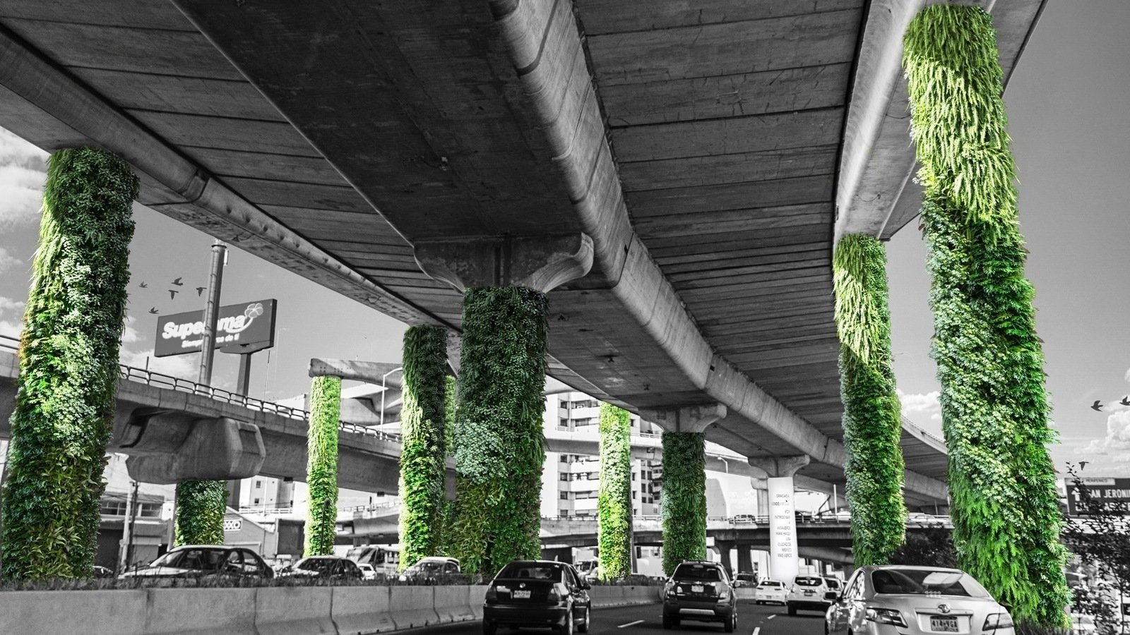 Petición · VIA VERDE. TRANSFORMEMOS LAS COLUMNAS DEL SEGUNDO PISO EN ...