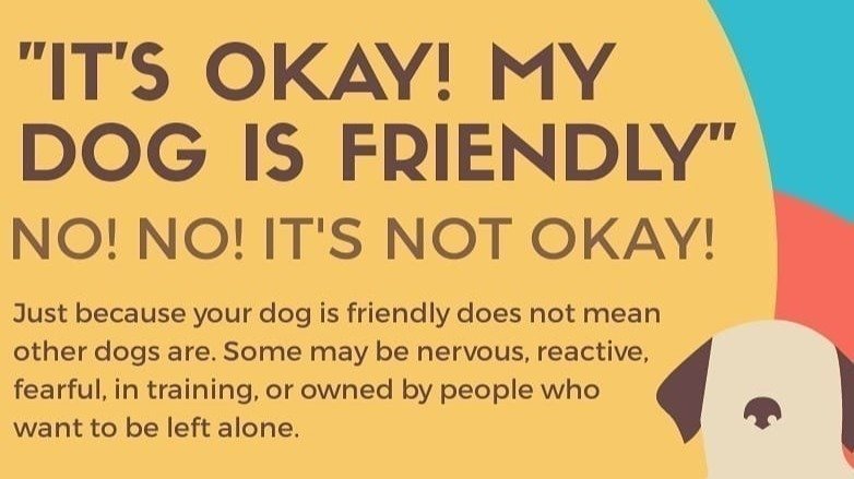 Petition · Equal rights and restorative justice for dog owners - United ...